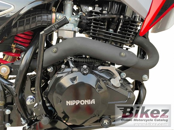 Nipponia Zeus 200 gallery